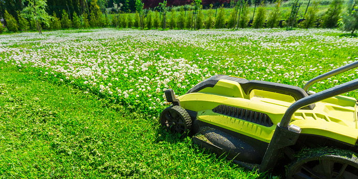 Zeroing in on Zeroscaping: A Guide to Creating a Beautiful and ...